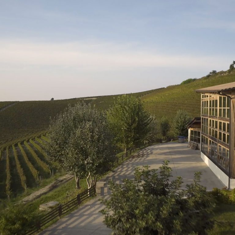 Ricossa - Off Piste Wines - Off-Piste Wines