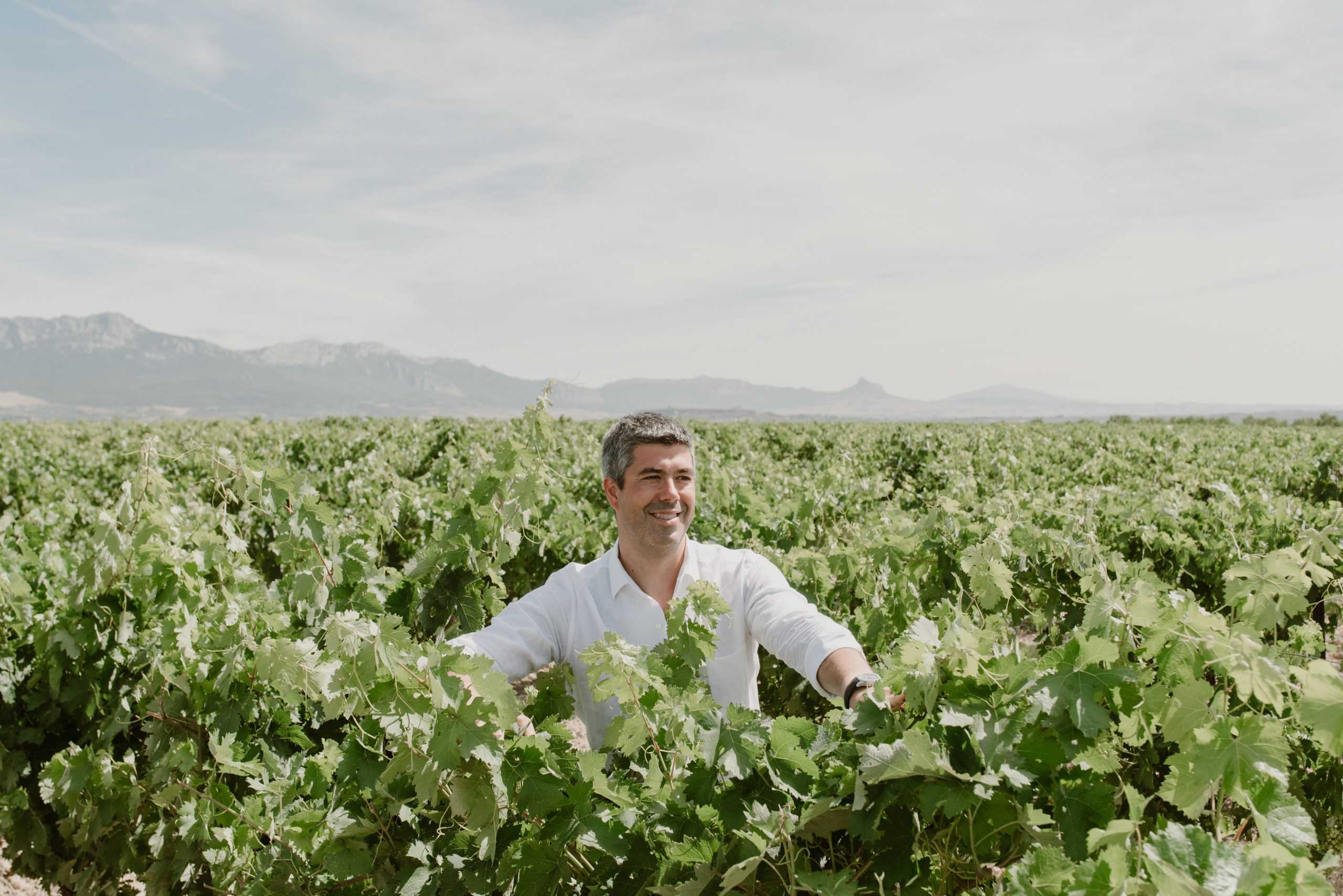 Muriel Wines: The New Rioja Tradition
