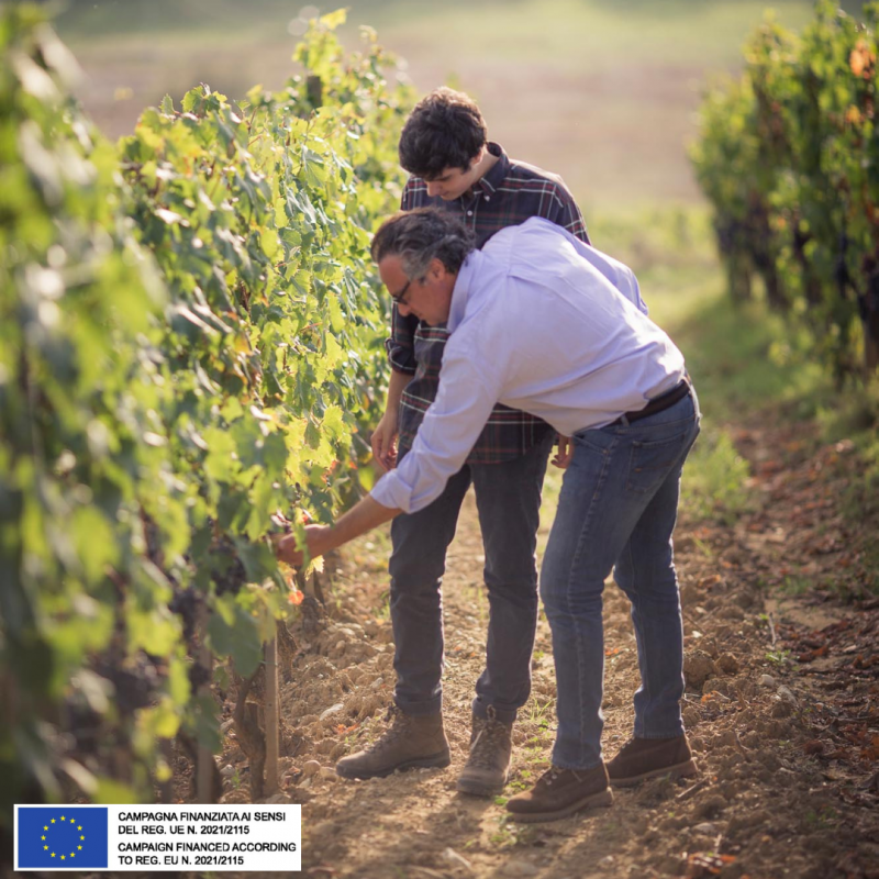Welcome to the Off-Piste Wines website - Off-Piste Wines