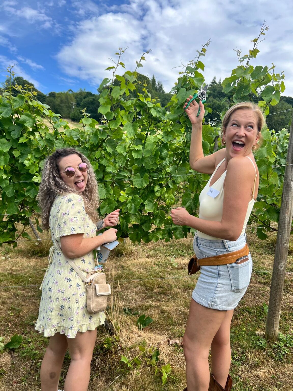 Off Piste Wines Summer Party 2025 - Off-Piste Wines